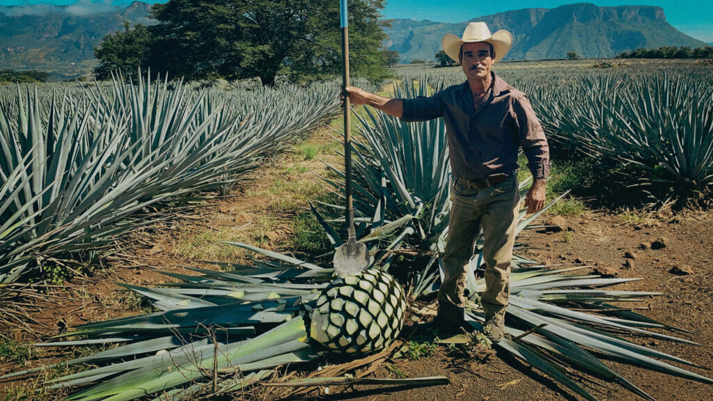 About Us - Backyard Nectar